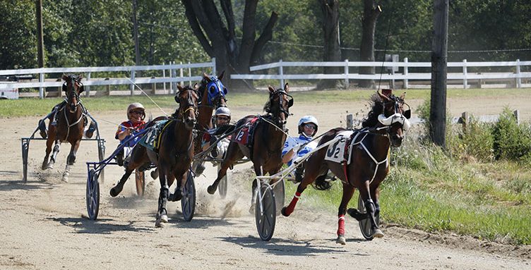 News – Erie County Fair at Wattsburg